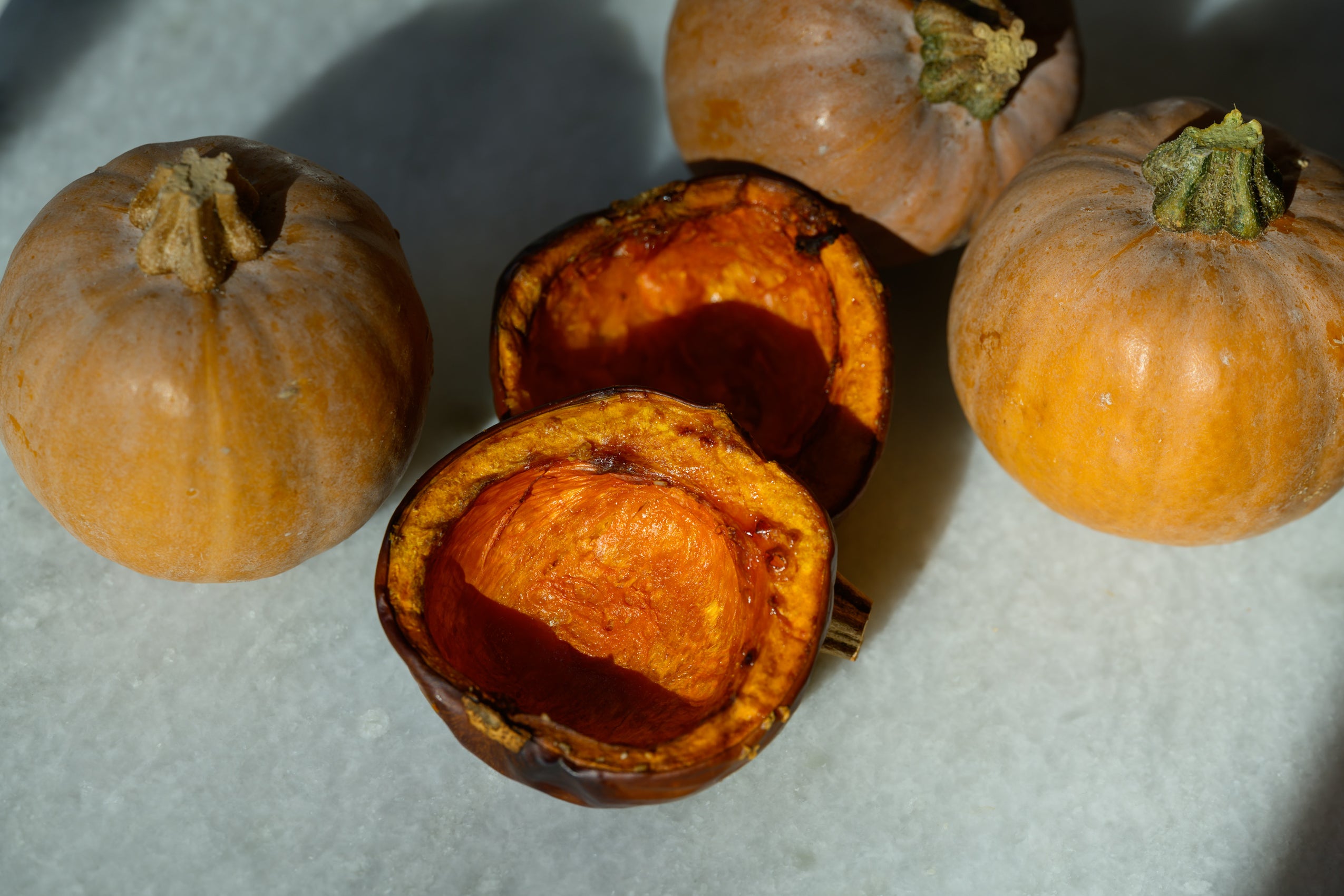 Lodi Squash, Mini – Girl & Dug Farm