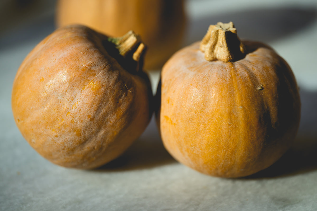 Lodi Squash, Medium – Girl & Dug Farm