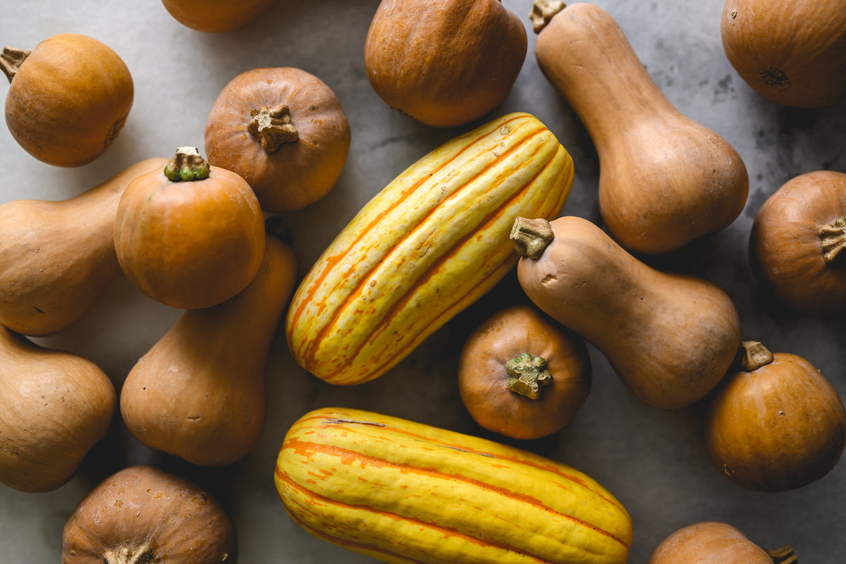 Winter Squash Toy Chest – Girl & Dug Farm