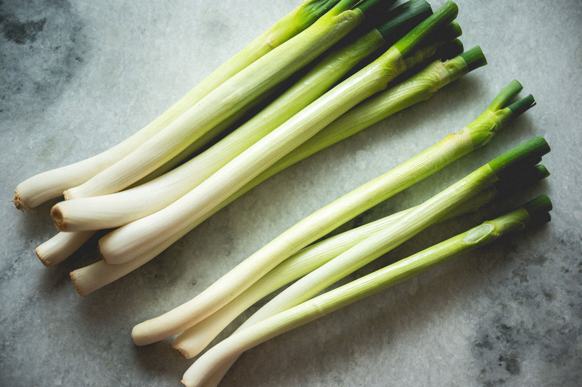 Tokyo Negi, Godzilla – Girl & Dug Farm