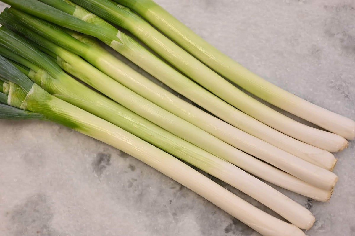 Tokyo Negi – Girl & Dug Farm