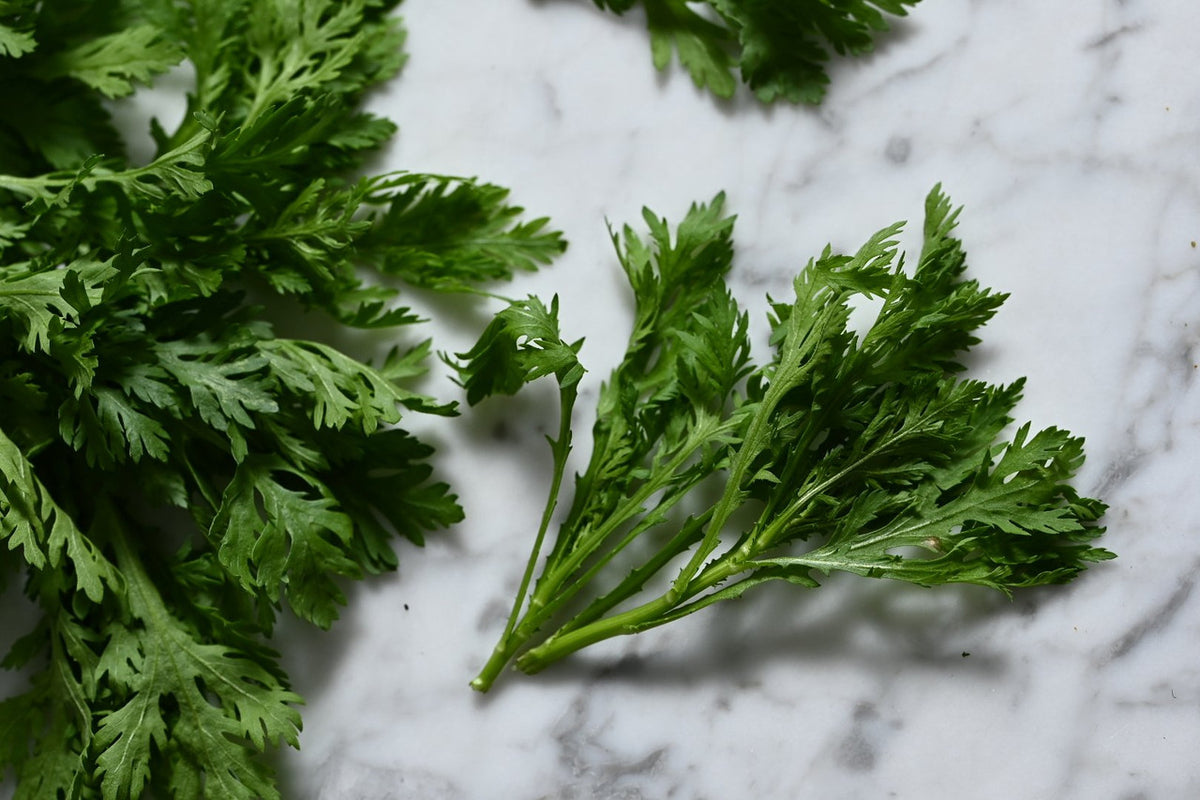 SSaM™ Chrysanthemum Leaf – Girl & Dug Farm