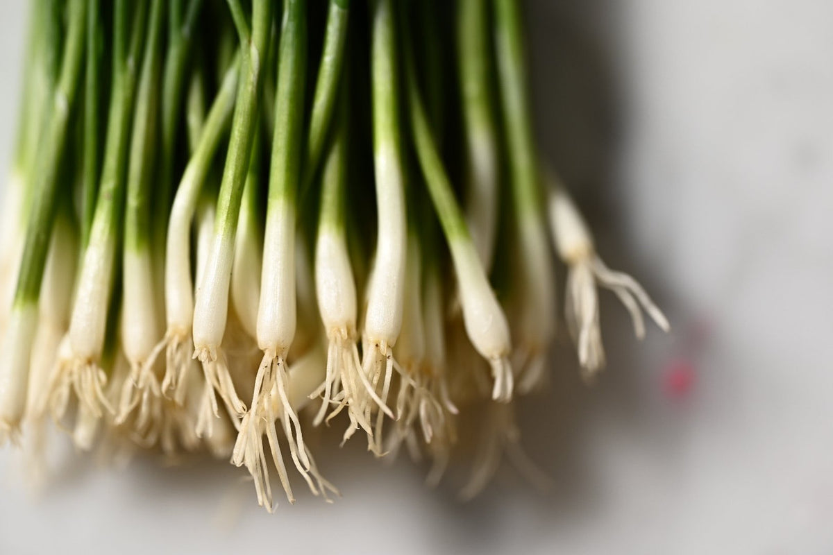 KinderGreens® Menegi – Girl & Dug Farm