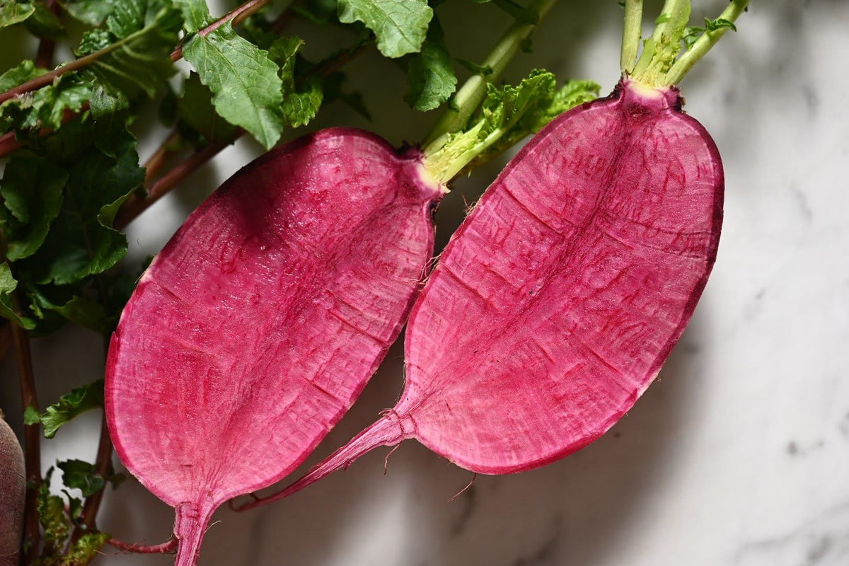 Radish, Berry – Girl & Dug Farm